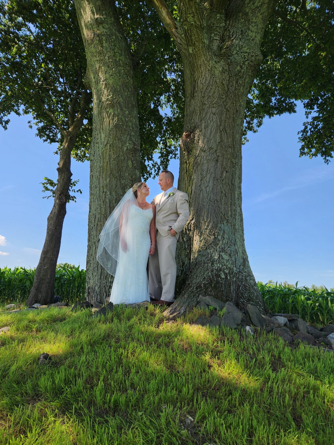 The Barn At Hansen Hill Farm